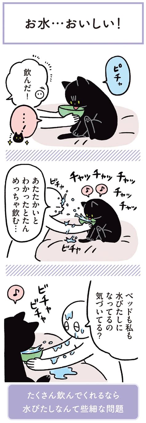 愛らしいけど寝相悪すぎ飼い主を叩き起こす午前4時の黒猫／黒猫ろんと暮らしたら3（1）（画像4962） レタスクラブ