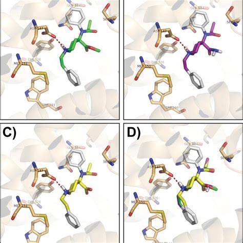 µ Opioid Receptor Binding Poses Of A Carfentanil B Download