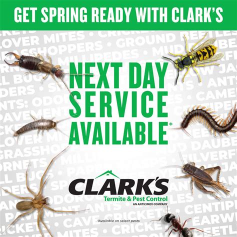 Enjoy A Bug Free Summer With Clarks Termite And Pest Control