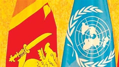 Neth News Sri Lanka Latest Sinhala News And Headlines Sri Lanka