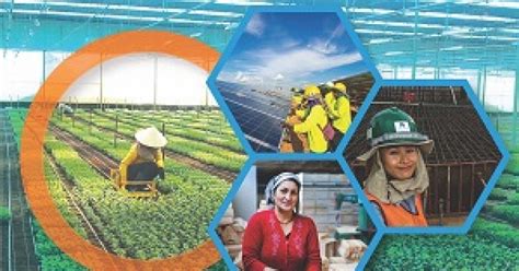 Development Effectiveness Report 2016 Private Sector Operations