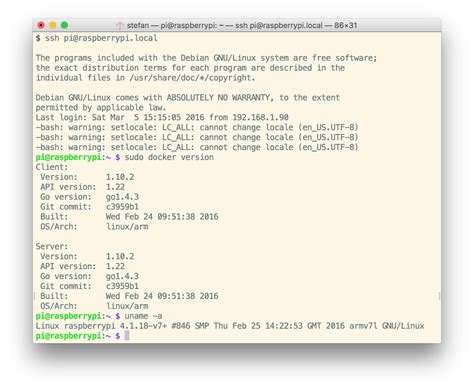 Run Docker On A Raspberry Pi 3 With Onboard Wifi · Docker Pirates Armed