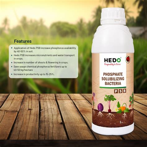 Psb Phosphate Solubilizing Bacteria Psb Liquid 1l Bio Fertilizer Hedo