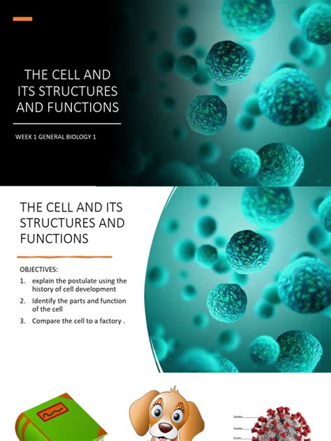 Week1the Cell And Its Structures And Functions Pdf Cell Biology