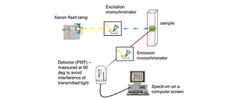 Fluorescence Spectroscopy A Fluorescence Emission Spectra Of The Cds