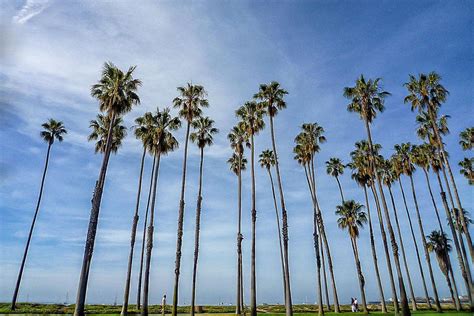 Los Angeles To San Francisco On Us Highway 101