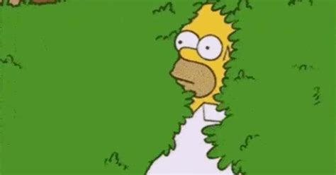 Homer Simpson Uses His Own Backing Into Bushes  On The Simpsons
