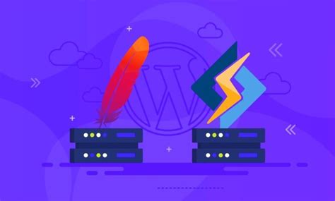 Apache Vs Litespeed Which Server Is Best For Your Wordpress Site