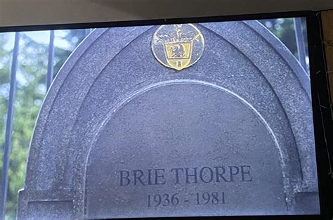 Can Someone Explain The Reference Rarrowverse