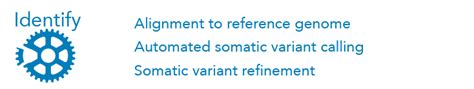Identify Somatic Variants Opencap Documentation