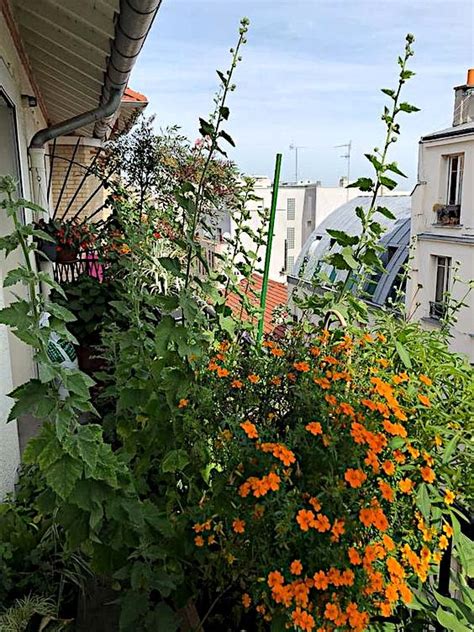 Épinglé sur Balcony Balcon parisien Petits jardins de cour Potager