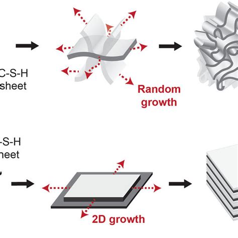 Approach To Controlling The Nucleation Growth And Packing Of C S H