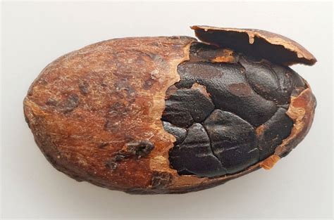 Reliably Detecting Cocoa Off Flavours Sweets Processing Archive Sweets Processing