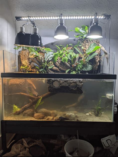 Building My 40 Gallon Turtle Hatchling Paludarium R Paludarium