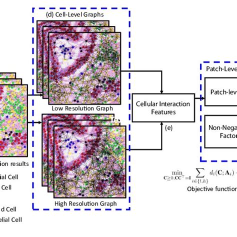 Schematic Illustration Of The Semantic Segmentation Or Tissue