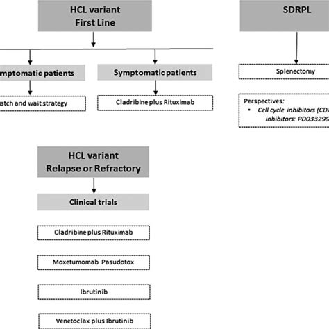 Cytological Aspects Of Hairy Cell Leukemia Hcl A And Hcl Variant