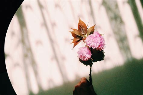 ずっと仲良くいるための秘訣って長く旦那に愛され続ける妻になる4つの心がけMERY