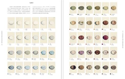 《大自然的調色盤》：解密自然界110種色彩的前世今生 每日頭條