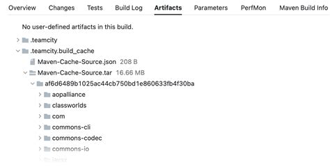 Build Cache TeamCity On Premises Documentation