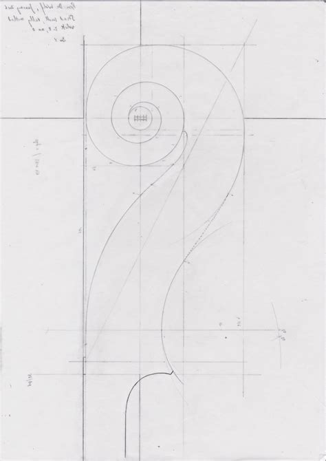 Violin Scroll Outline