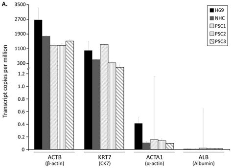 Characterization Of Cultured Cholangiocytes Isolated From Livers Of Patients With Primary