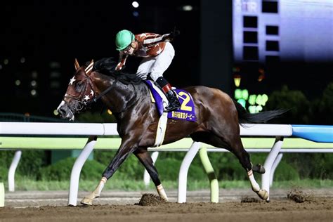 【jdd】ミックファイアは6枠6番南関で無敗の三冠達成なるか 競馬ニュースなら競馬のおはなし