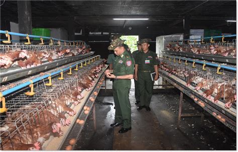 ဒေသတွင်းစိုက်ပျိုး၊ မွေးမြူရေးနှင့် ကုန်ထုတ်လုပ်ငန်းများ ရာနှုန်းပြည့် အောင်မြင်အောင် ဆောင်ရွက