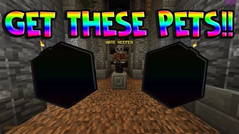 These Two Pets Are ESSENTIAL For Hypixel Skyblock S Next Update YouTube