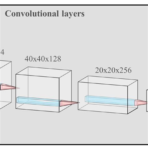 Cnn Architecture Rendered By Nn Svg 10 Download Scientific Diagram