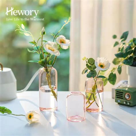 Growing Asters September Flowers In The Garden South Elmonte Hydroponics