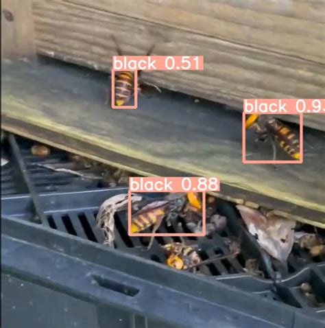 Jetson Nano Yolo V Detection