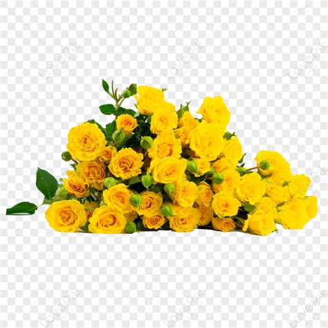 자연 꽃 장미 사랑 로맨스축복향기신선한 꽃 Png 일러스트 무료 다운로드 Lovepik