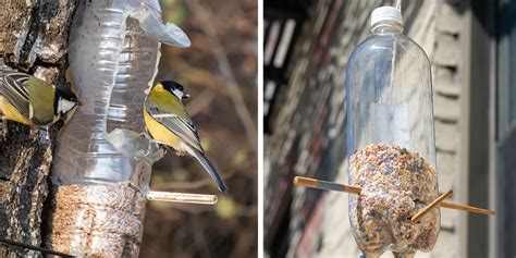 5 Diy Bird Feeder Designs Plant Perfect