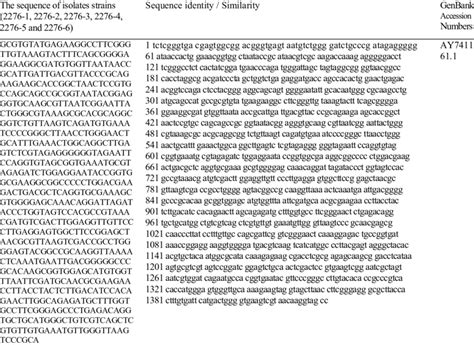 The Sequence Identitysimilarity Download Table