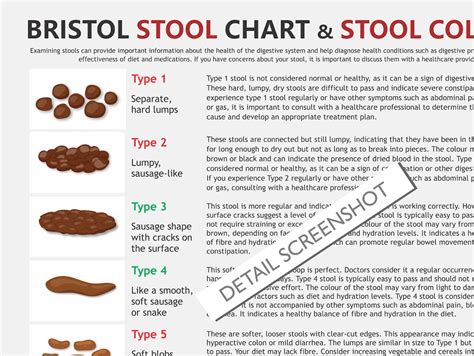 Bristol Stool Chart Printable
