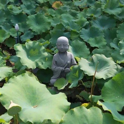 心存善念福报常在 福气