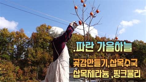 핑크뮬리 정리하고 거름줘요삽목이 수국이랑 제라늄들 정리하고 서리 맞고도 활짝 핀 국화랑 세이지 청하 쑥부쟁이 Youtube