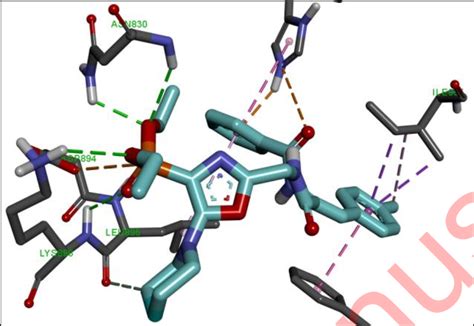 Molecular Docking Of Ovp 1 To The Active Site Of Pde3 Download
