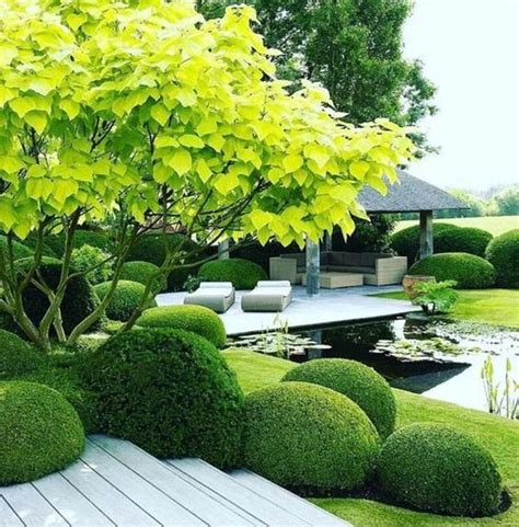 Aranjamente Din Arbusti Decorativi Care Schimba Decorul In Gradina