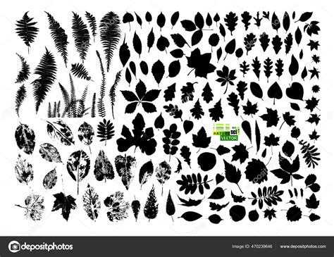 Set Of Tree Leaves Vector Illustration Stock Vector By ©maryia777