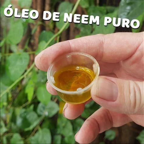 Óleo de Neem Agrooceânica Amino Peixe Neem 1 litro Verde Mania