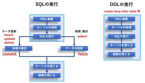 Python 】cx Oracleでoracleにアクセスしよう！ 初学者diyプログラミング入門