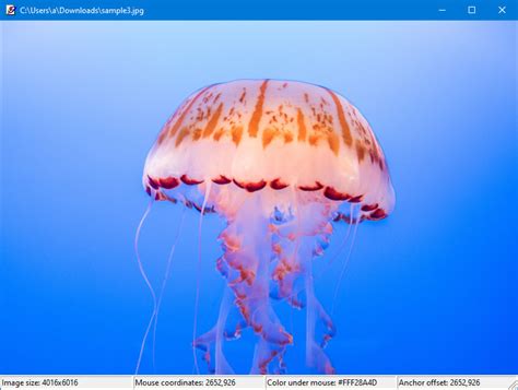 Github Nakst Imgview A Small Image Viewer For Windows Written In Rust