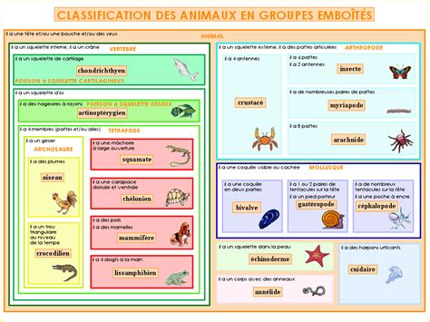 Chapitre 4 La Classification Scientifique Des Espèces Site De Svtpmc