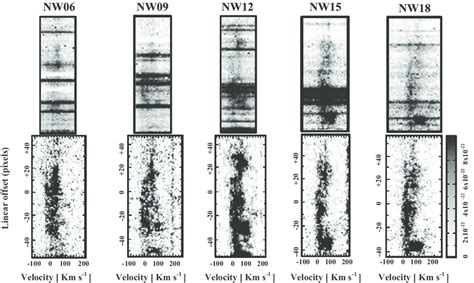 results of data reduction for sample 2d spectral images top raw