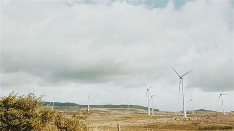 EDPR Expands Portuguese Wind Farm Capacity To MW