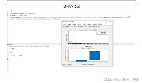 实验3 基于遗传算法的多元函数求解 求解多元非线性函数 csdn博客