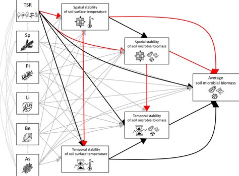 Conceptual Design Of Structural Equation Modeling Sem Paths By Which