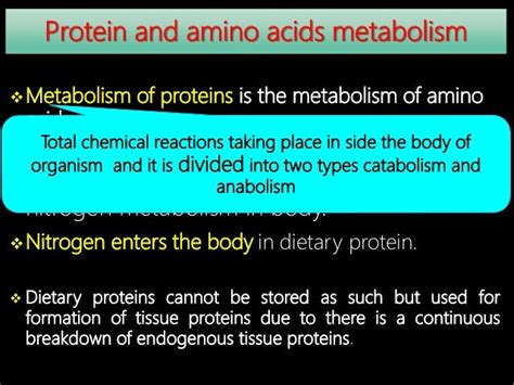 Hormonal Regulation Of Proteins Metabolism