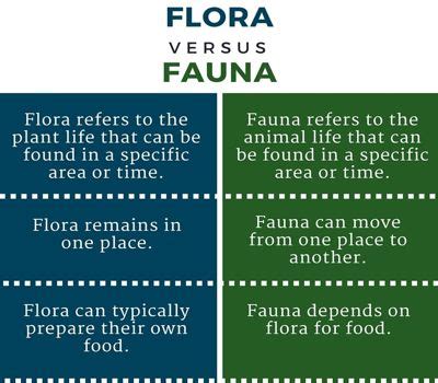 Difference Between Flora And Fauna Assignment Point